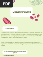 Clasificación de Ligasas en Bioquímica | PDF | Biomoléculas | Biología ...