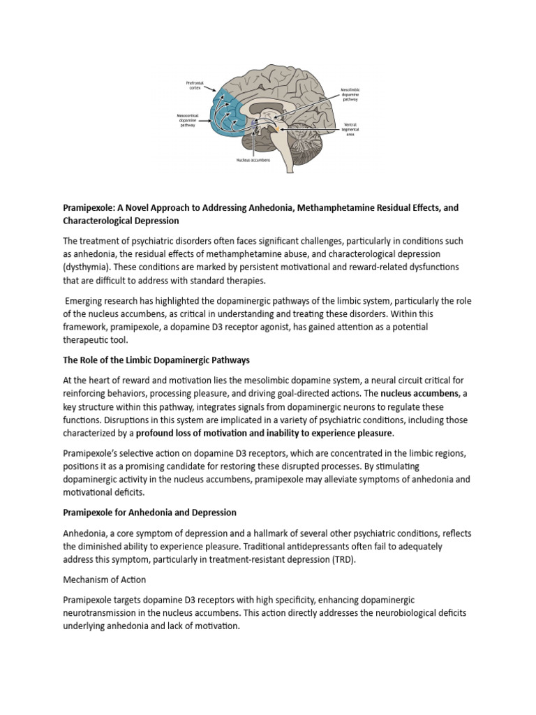 Pramipexole: A Novel Approach To Addressing Anhedonia, Methamphetamine ...