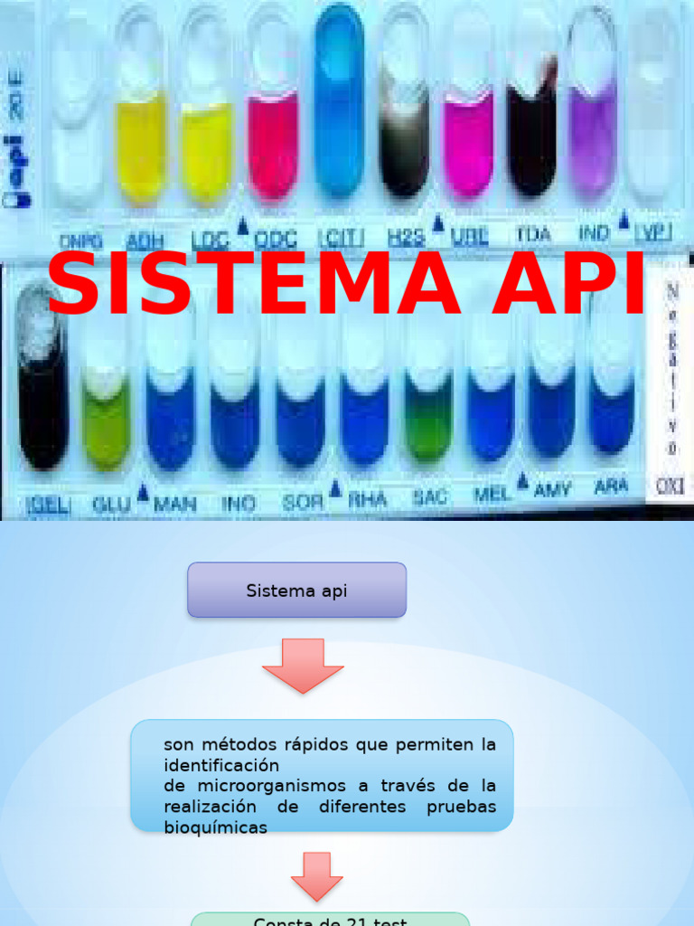 Sistema Api | PDF