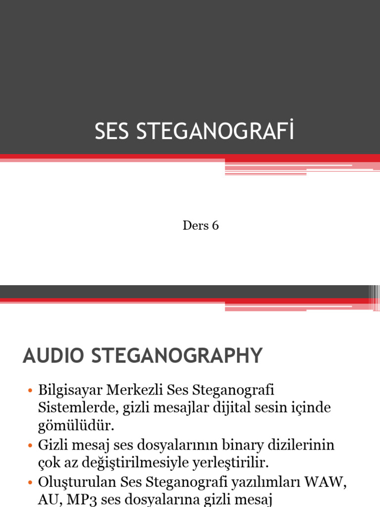 Ders6 SES - Steg | PDF
