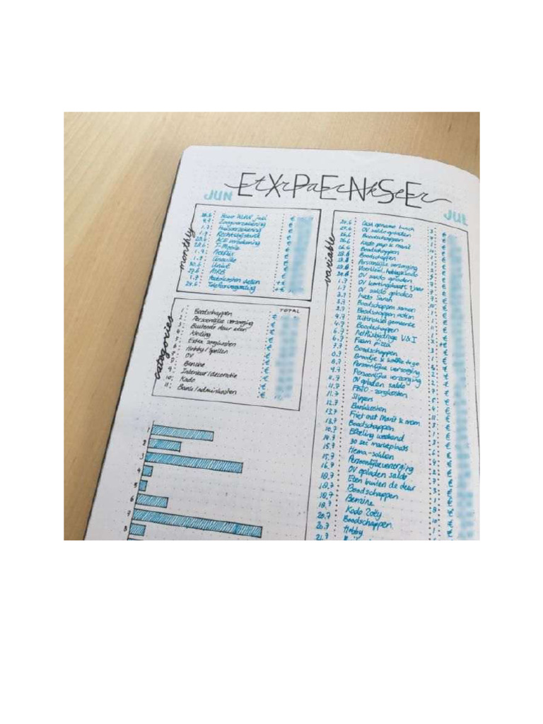 Expense Tracker Bullet Journal Example | PDF