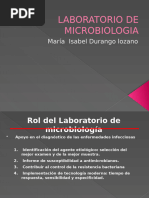Optoquina | PDF | Estreptococo | Microbiología