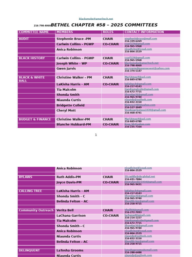 2025 Committees | PDF