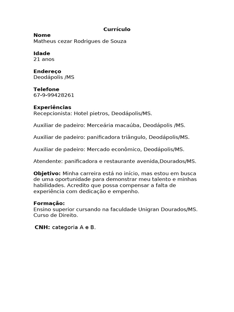 Curriculo Atualizado | PDF