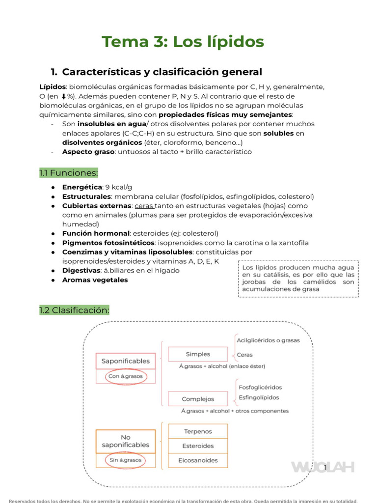 Tema3 Lípidos | PDF
