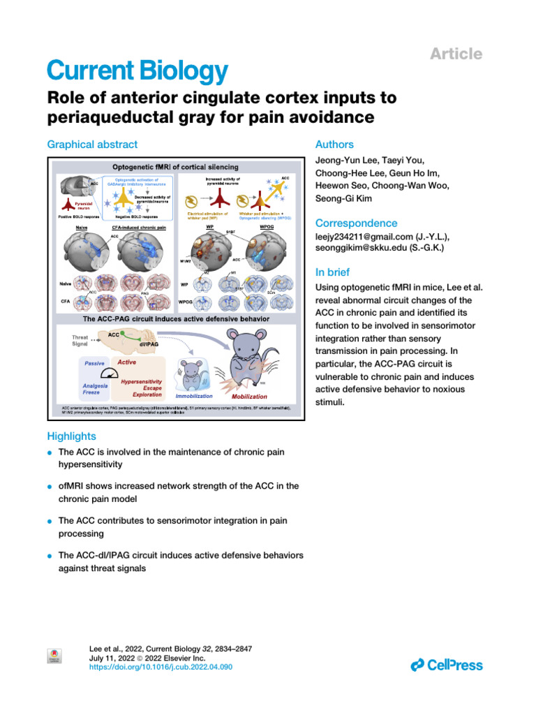 Role of Anterior Cingulate Cortex Inputs To Periaqueductal Gray For ...