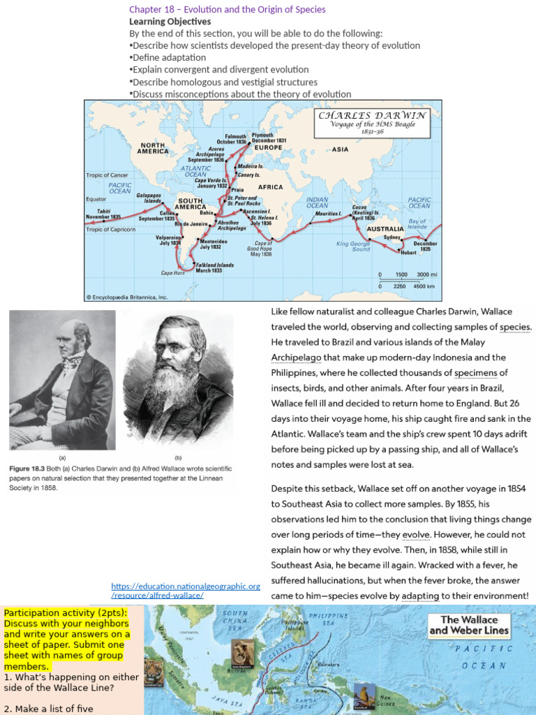 1 Jan 13 Mon Part 2 Ch 18 | PDF | Evolution | Natural Selection