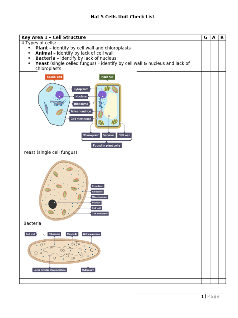Cells N5 Checklist JV 2021 Update | PDF | Cell (Biology) | Cellular ...