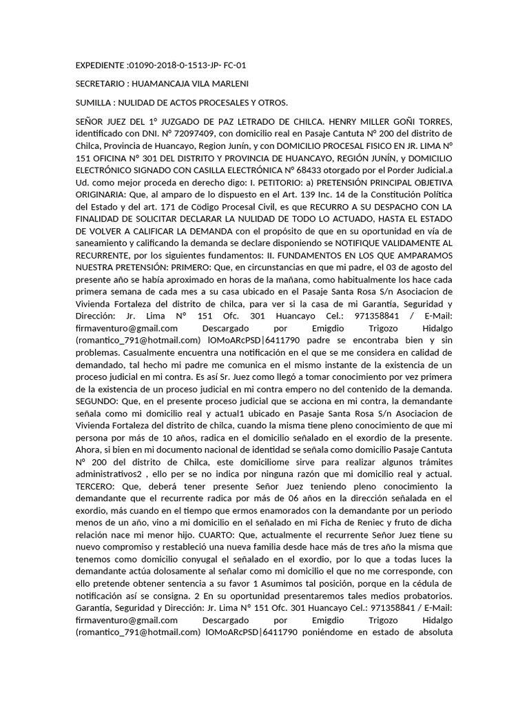 Modelo de Nulidad Del Acto Procesal 2 | PDF | Debido al proceso | Demanda judicial