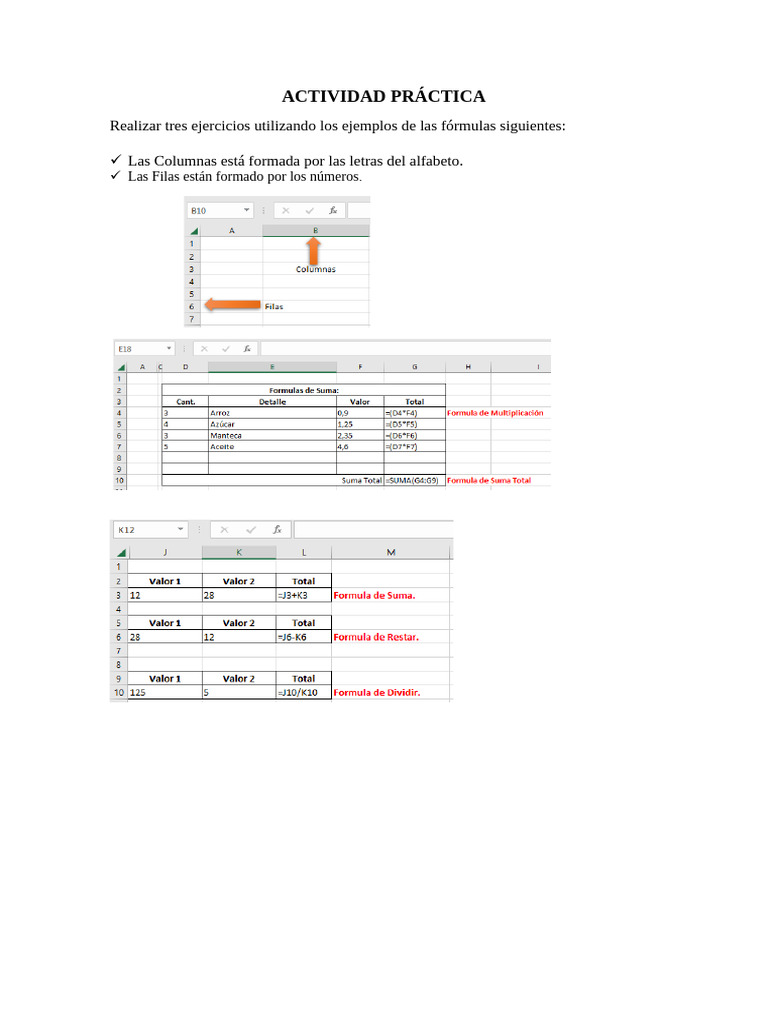 ACTIVIDAD PRÁCTICA | PDF