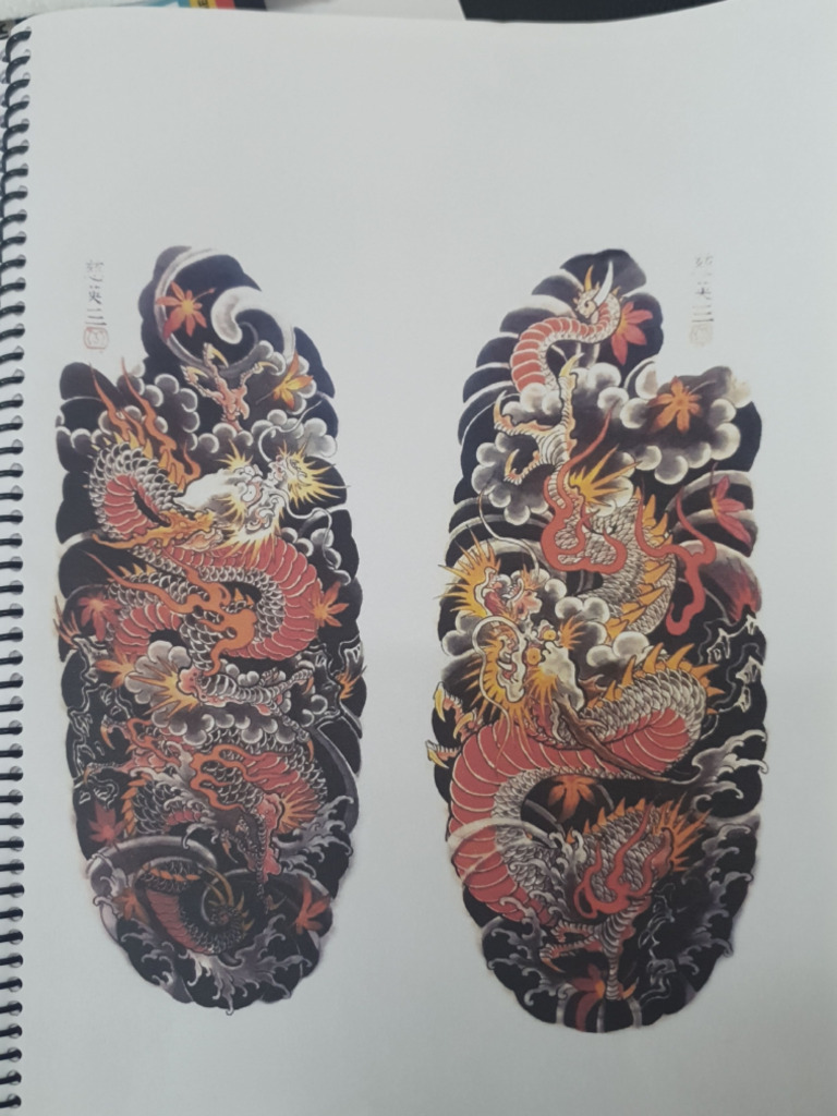 Refs Dragon | PDF