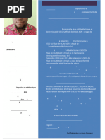 Declaration Fiscale D'existence | PDF