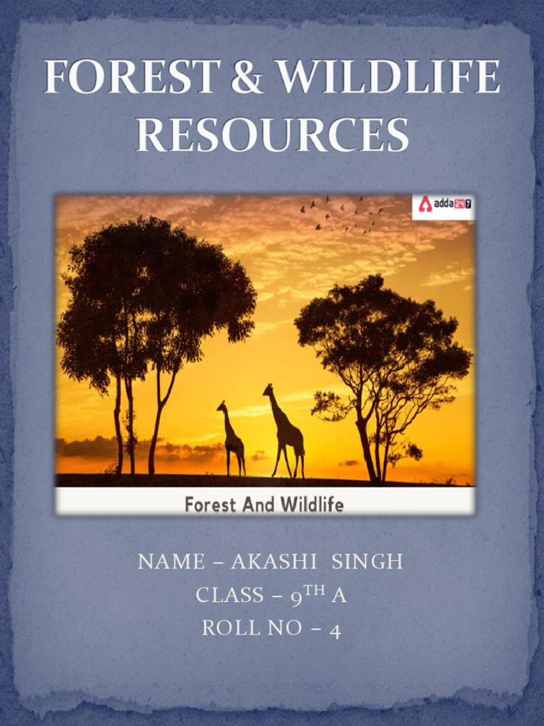 Forest and Wildlife Conservation in India | PDF | Conservation Biology ...