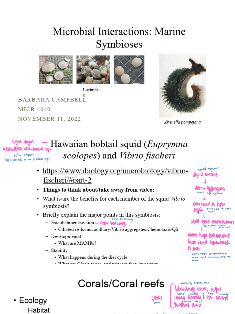 Marine Microbial Symbioses Explained | PDF | Coral | Hydrothermal Vent