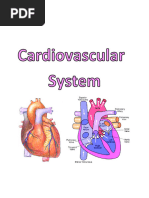 Adult Dosage for Alcophyllex Cough Syrup | PDF | Heart | Medical ...