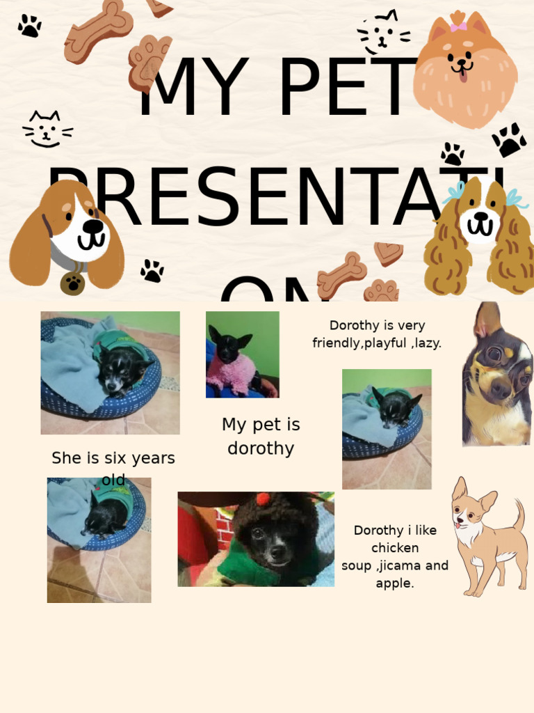My Pet Presentation | PDF