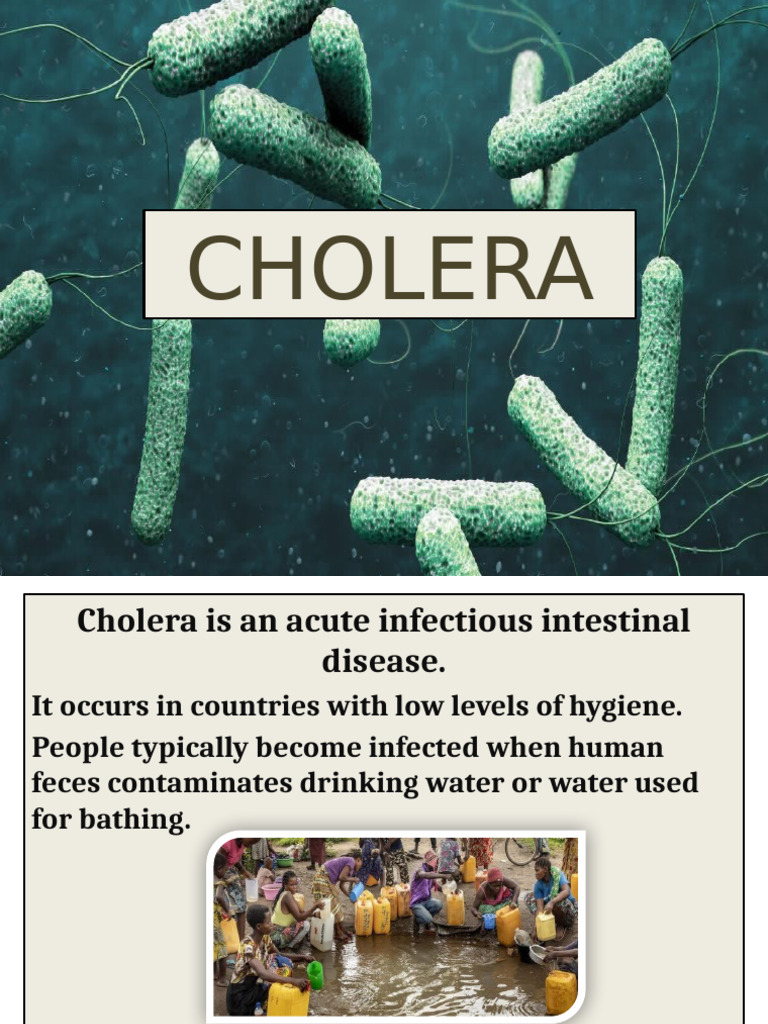 Cholera | PDF
