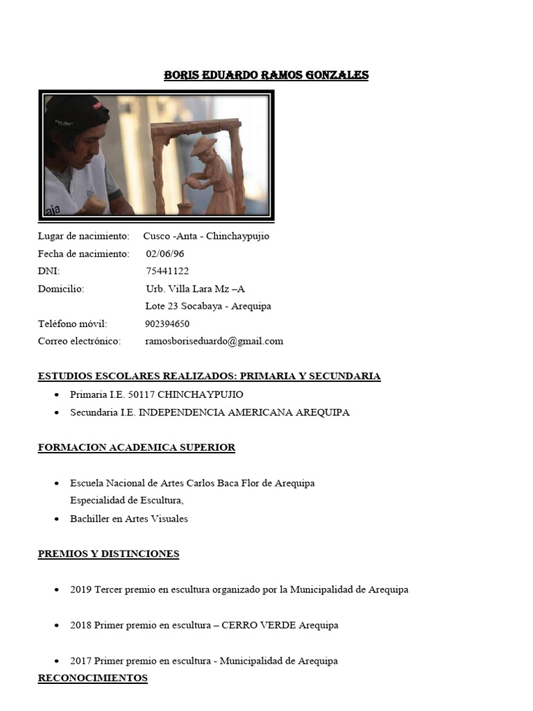 CV.BORIS EDUARDO R. | PDF