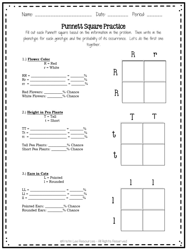 Jaron Bartlett - Punnett Square Worksheet | PDF | Dominance (Genetics ...