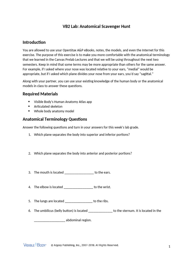 VB2 Lab. Anatomical Scavenger Hunt | PDF | Anatomical Terms Of Location | Abdomen