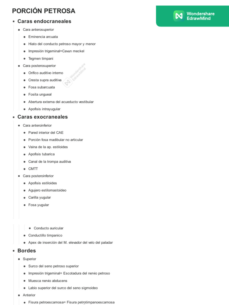 Anatomía de la Porción Petrosa del Hueso Temporal | PDF