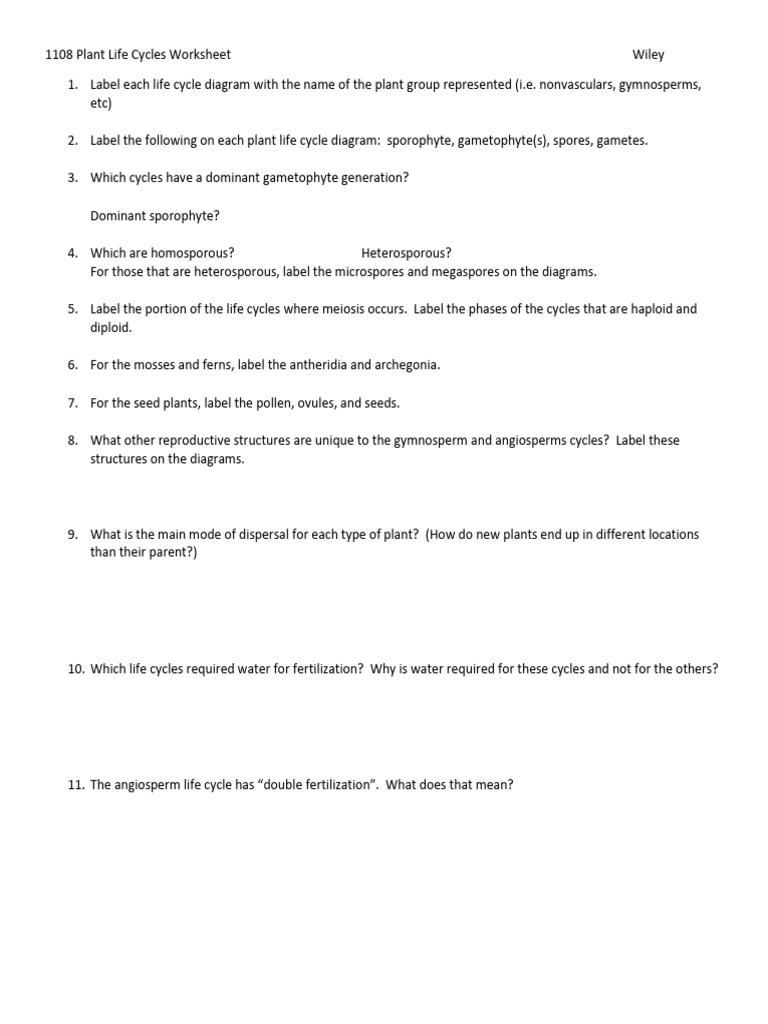 Plant Life Cycle Diagrams Worksheet | PDF