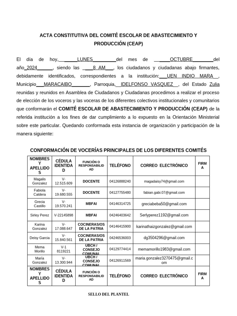 ACTA CONSTITUTIVA CEAP 2024-2025 | PDF