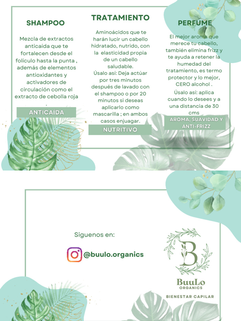 FOLLETO BUULO KIT | PDF