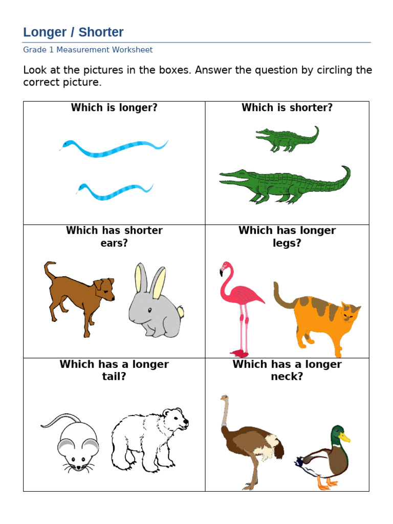 Grade 1 Measurement Practice | PDF