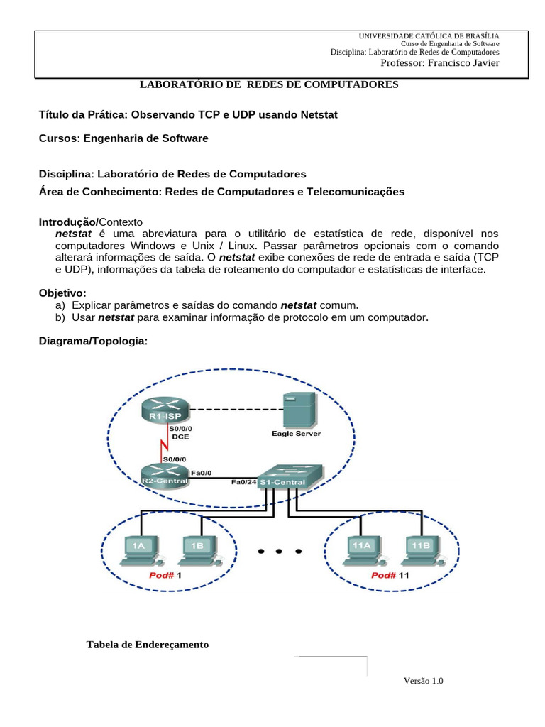 Ativ Prática 06 Observando TCP e UDP Usando Netstat | PDF | Porta (rede de computadores ...