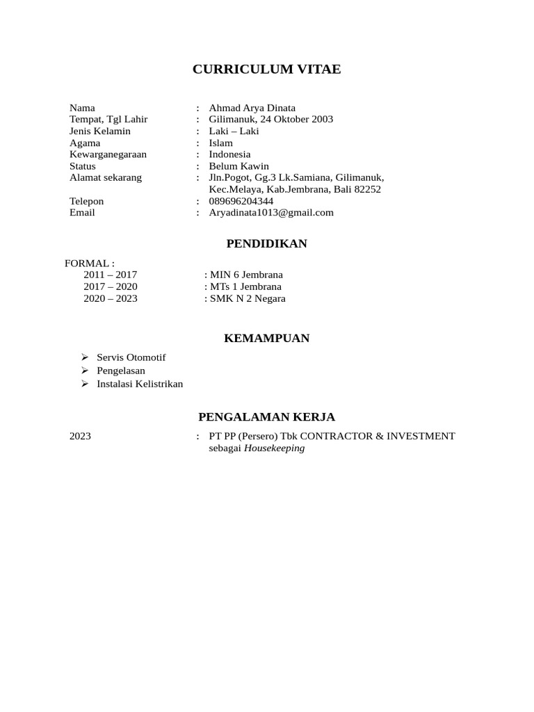 Curriculum Vitae Arya | PDF