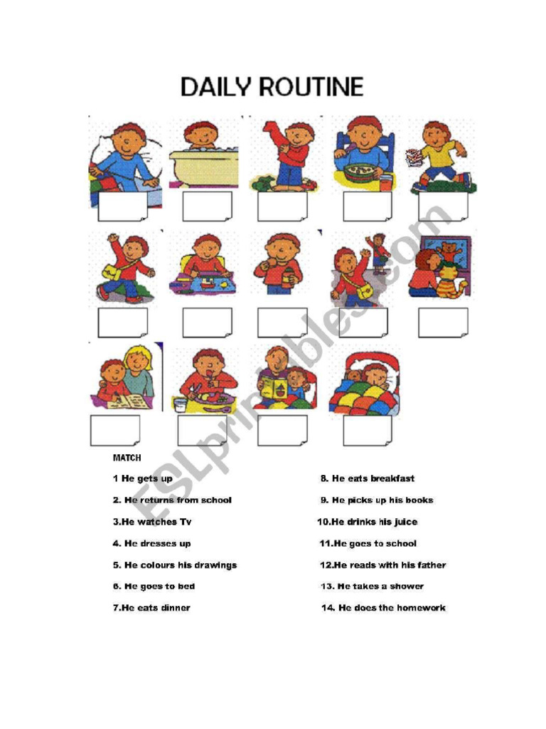 MY DAILY ROUTINES | PDF