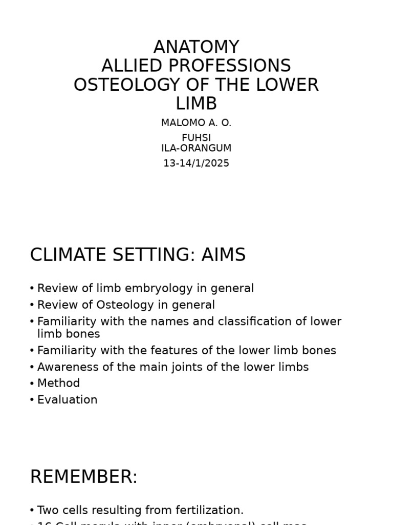 Anatomy Fuhsi Osteology of The Lower Limbs | PDF | Anatomical Terms Of ...