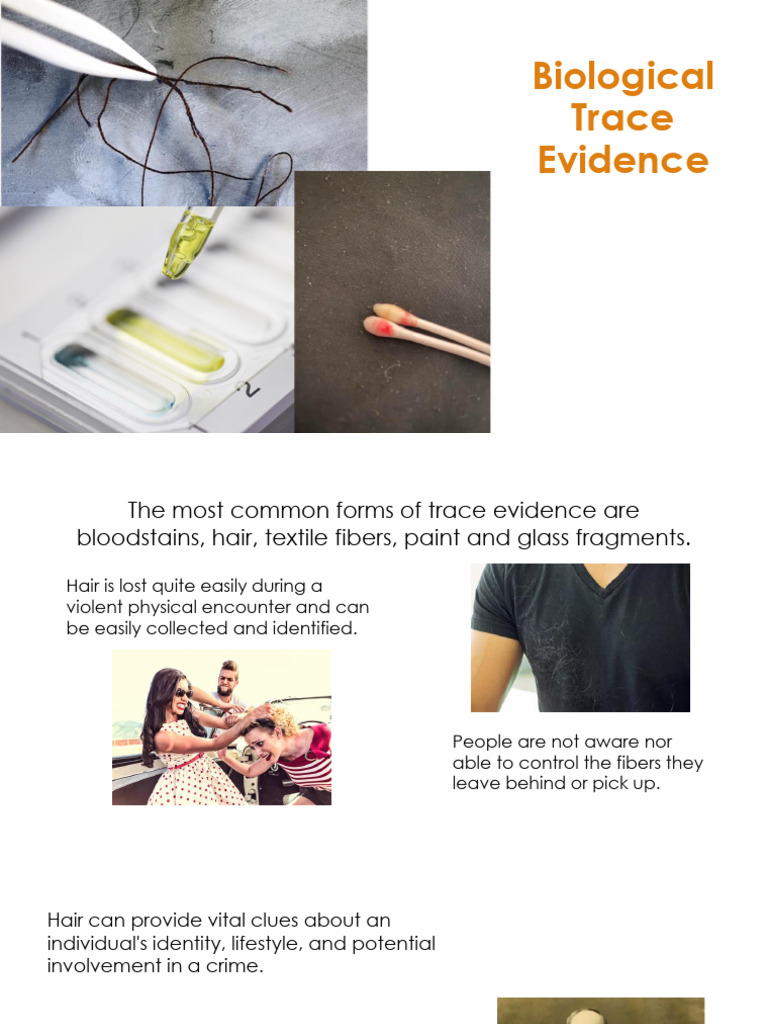 Biological Trace Evidence | PDF | Blood Type | Fibers