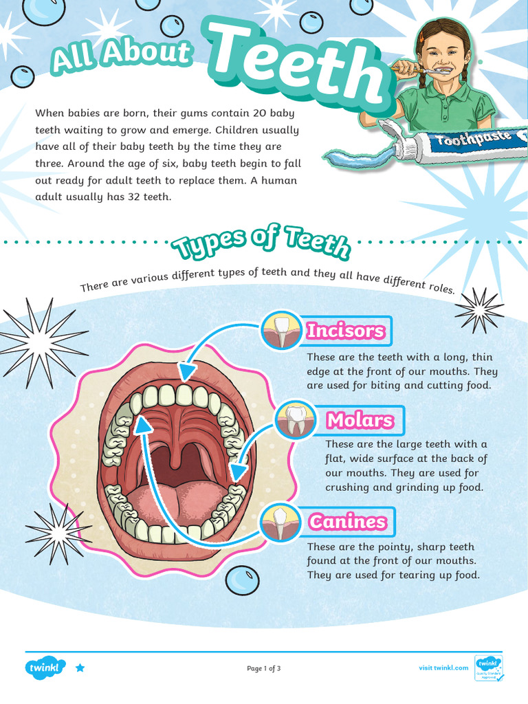T e 1681589084 Lks2 All About Teeth Differentiated Reading ...