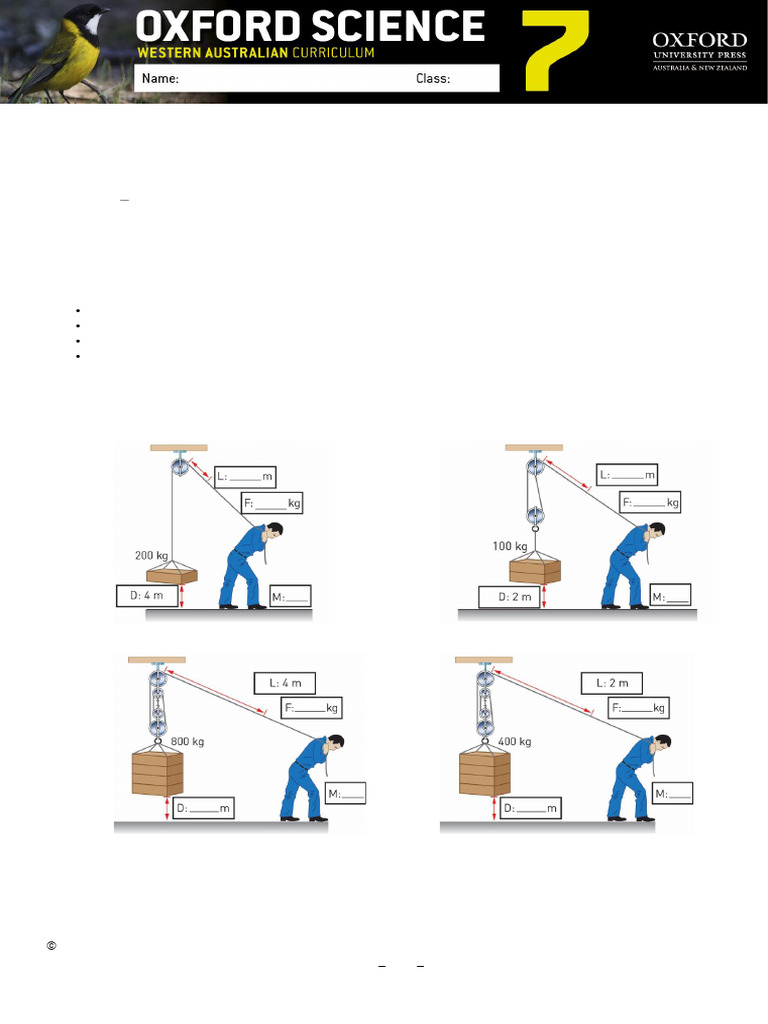 Oxford WS 7.8 Year 7 Science | PDF