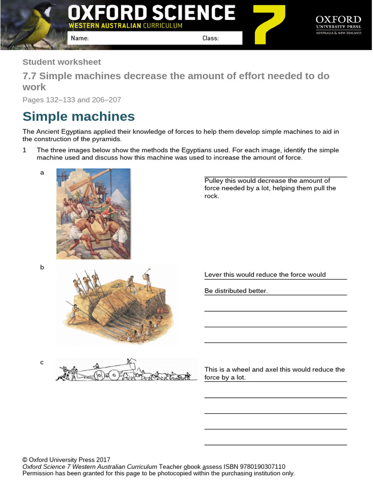 Oxford WS 7.7 Year 7 Science | PDF | Lever | Machines