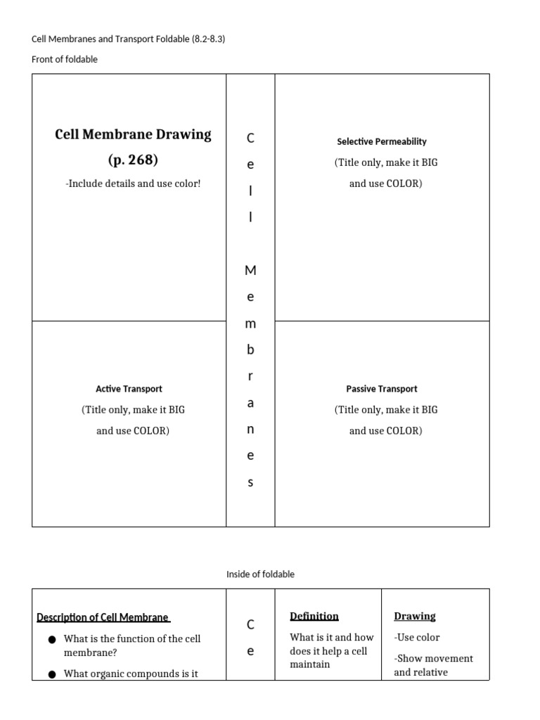 Cell Membranes Foldable | PDF | Cell Membrane | Biotechnology