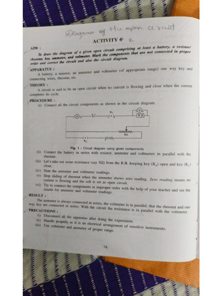 1st Cycle Activity 2 | PDF