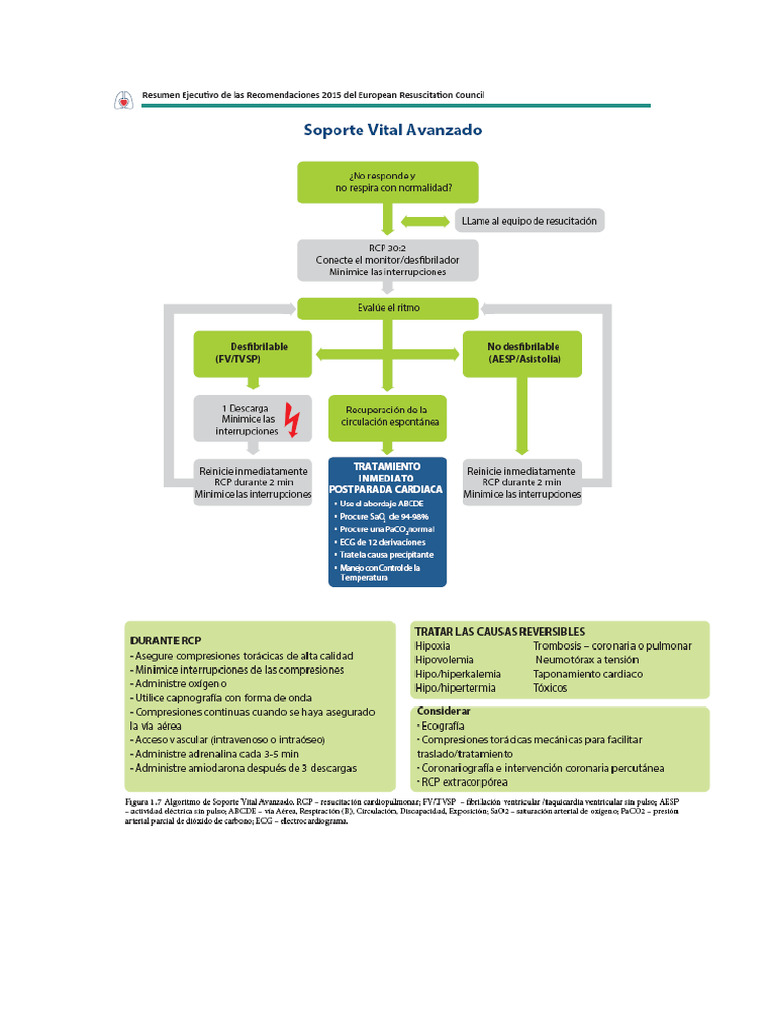 Algoritmo Sva 2015 (Evaluable) | PDF