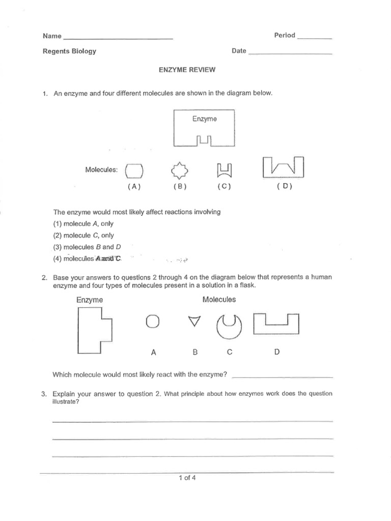 Enzyme Review | PDF