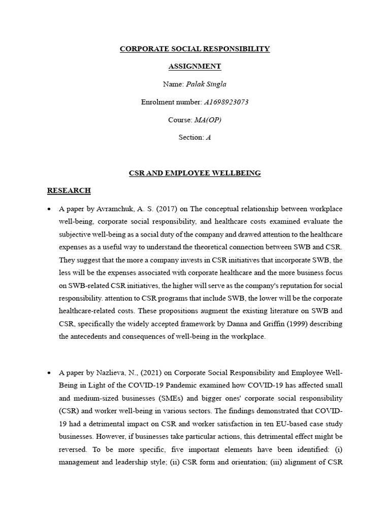 CSR Assignment Palak 073 | PDF | Corporate Social Responsibility | Well Being