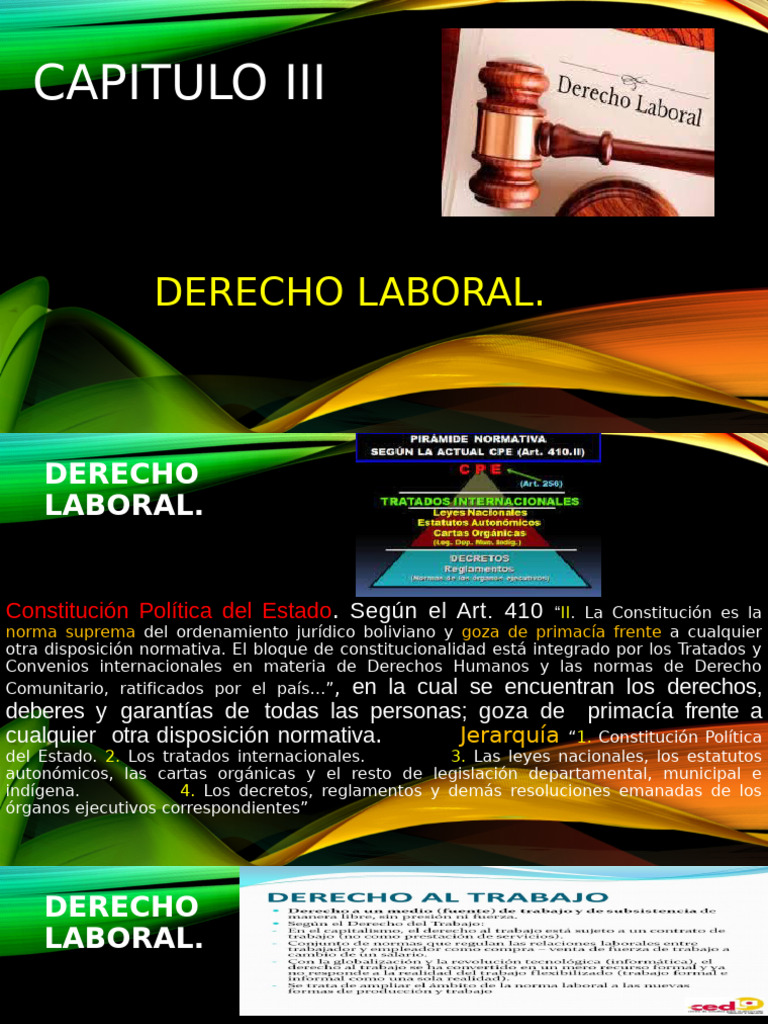 Capitulo 3 Derecho Laboral | PDF | Derecho laboral | Salario