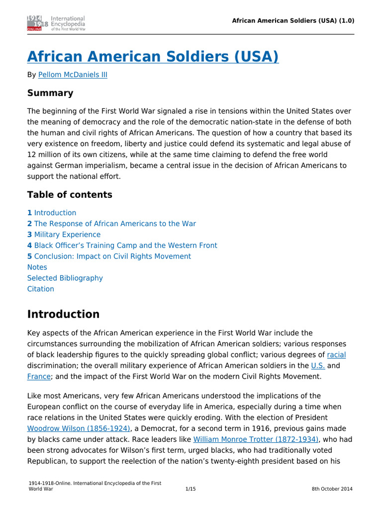 African American Soldiers in WWI | PDF | W. E. B. Du Bois | Southern ...