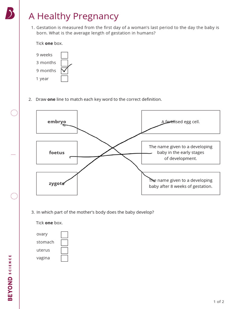 A Healthy Pregnancy Worksheet Support | PDF