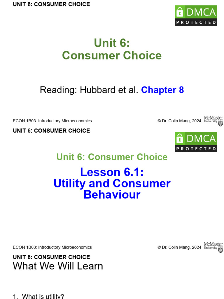 Unit 6 Consumer Choice | PDF | Utility | Microeconomics