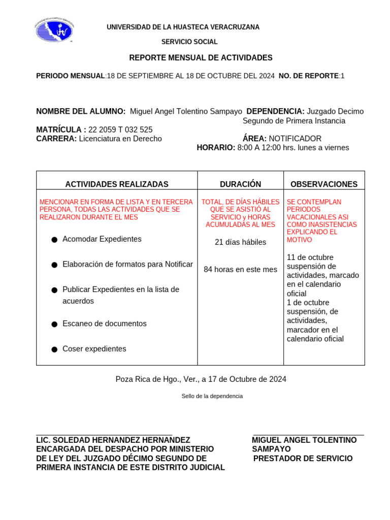 E-Formato de Reporte Mensual | PDF