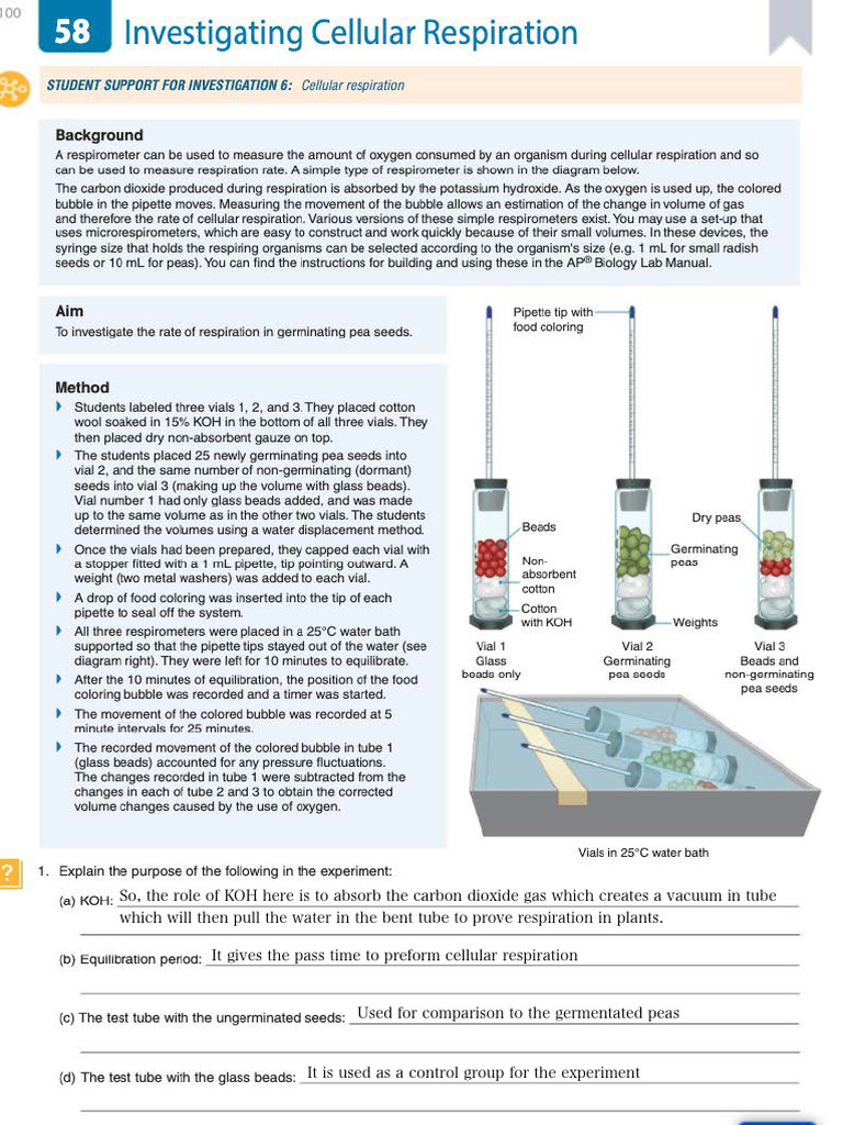 AP_Bio_biozone_cell_resipiration_investigation.pdf | PDF