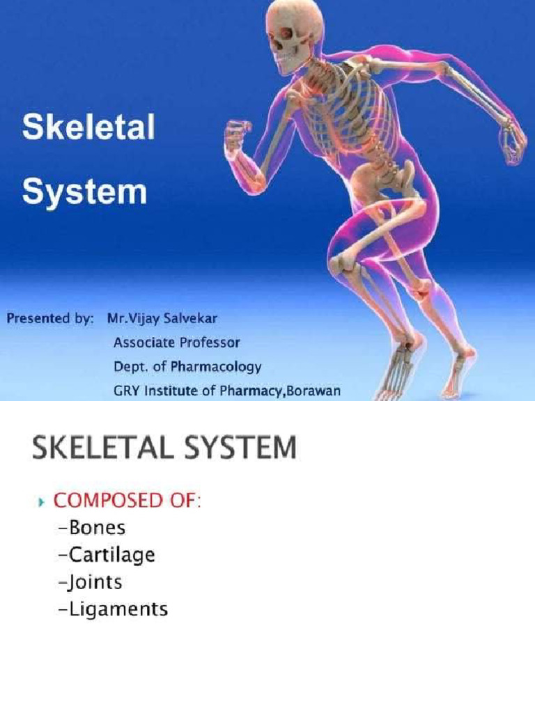 Zoo Skeletal System | PDF