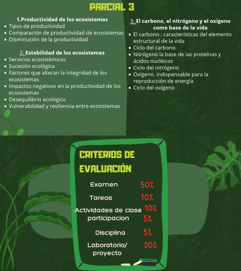 P. 3 Ecosistemas - Temario-De-Ecosistemas-La Materia-Y Sus ...